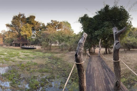 Nkwali Camp – Discover Africa
