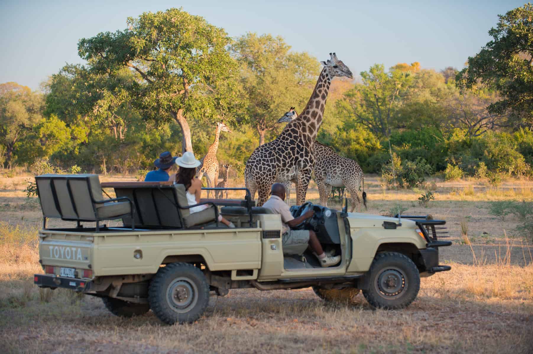 Nkwali Camp – Discover Africa