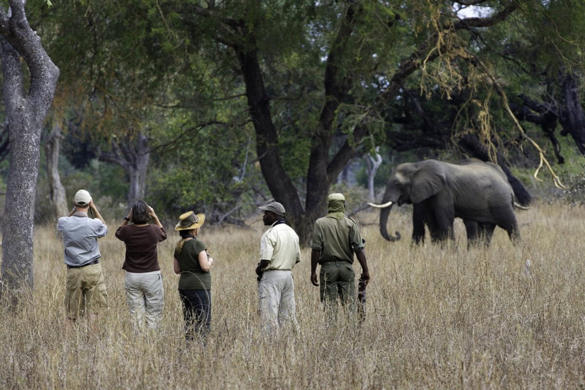 Mfuwe Lodge Mfuwe Lodge, South Luangwa, Zambia – Discover Africa