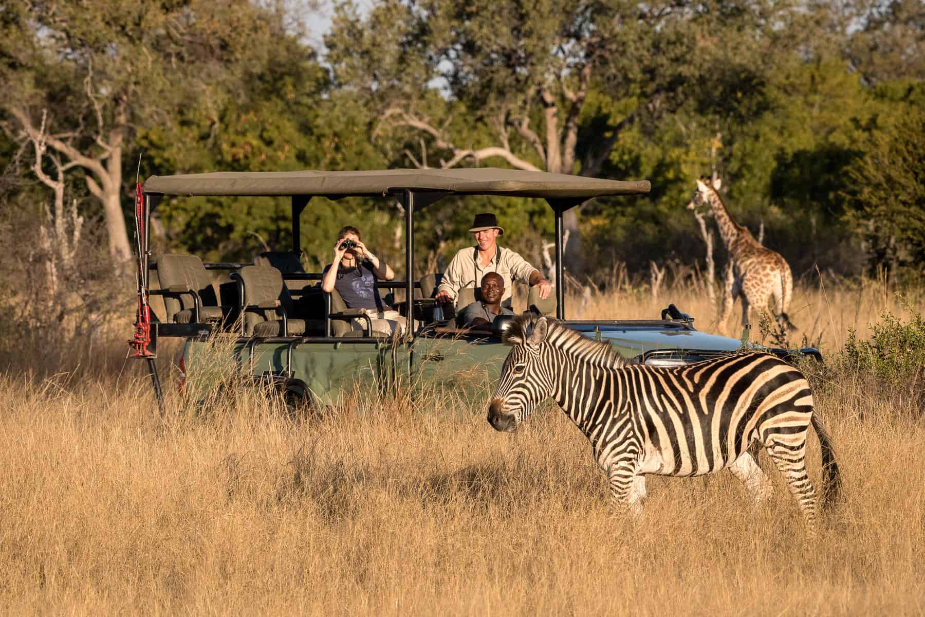 When to Go to Hwange National Park – Discover Africa